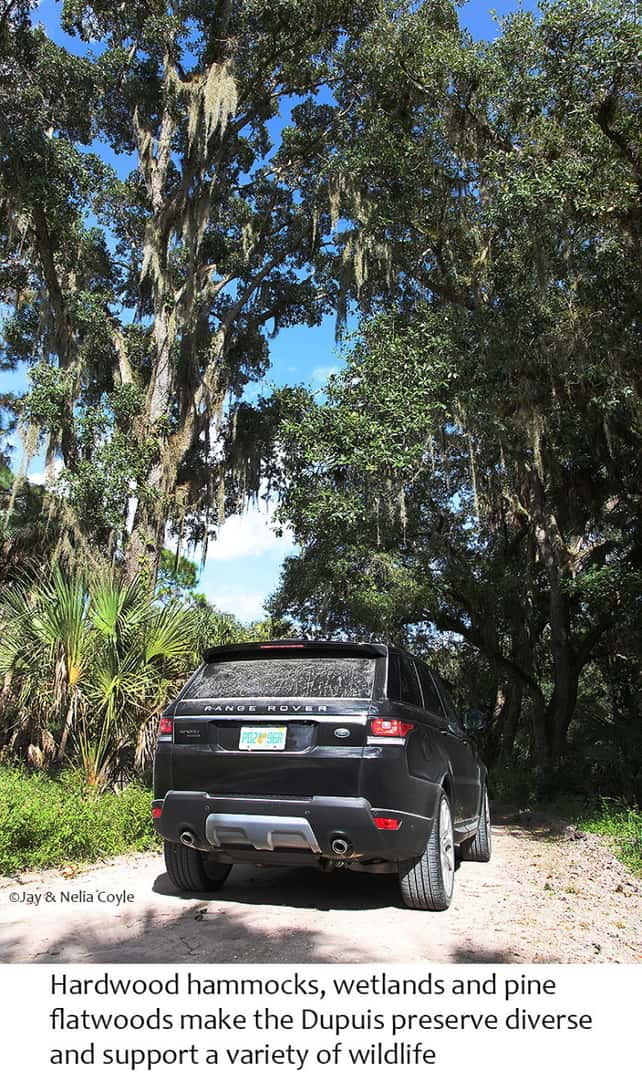 DNA-X 2015 Backyard Edition: Range Rover Sport Diesel | Land Rover Palm ...