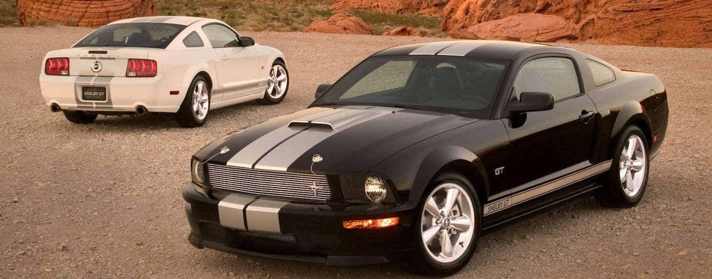 Used Ford Mustang