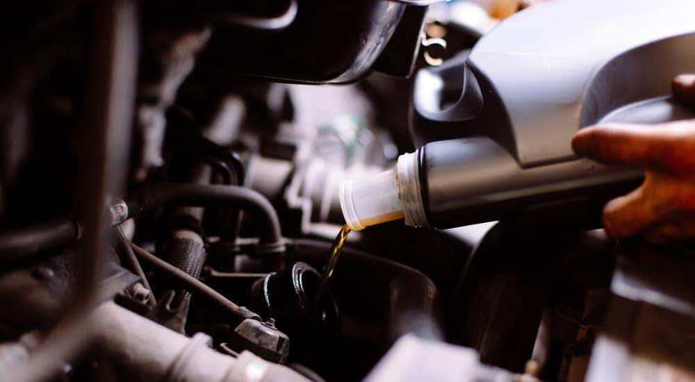 Common Oil Change Questions Everyone Should Know the Answer To