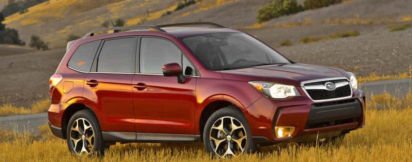 Used Subaru Forester