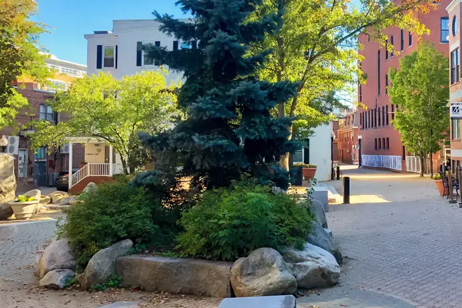 Spring 2025 Events in Concord: Must-See Festivals for You and Your ...