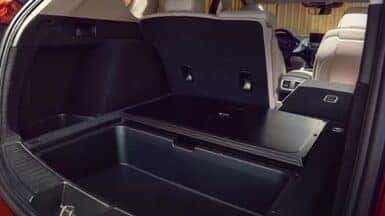 Meet the Acura SUVs, RDX & MDX | Springfield Acura