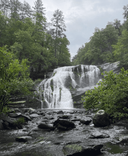 Fun and Free Summer Activities for Families in Columbia, TN
